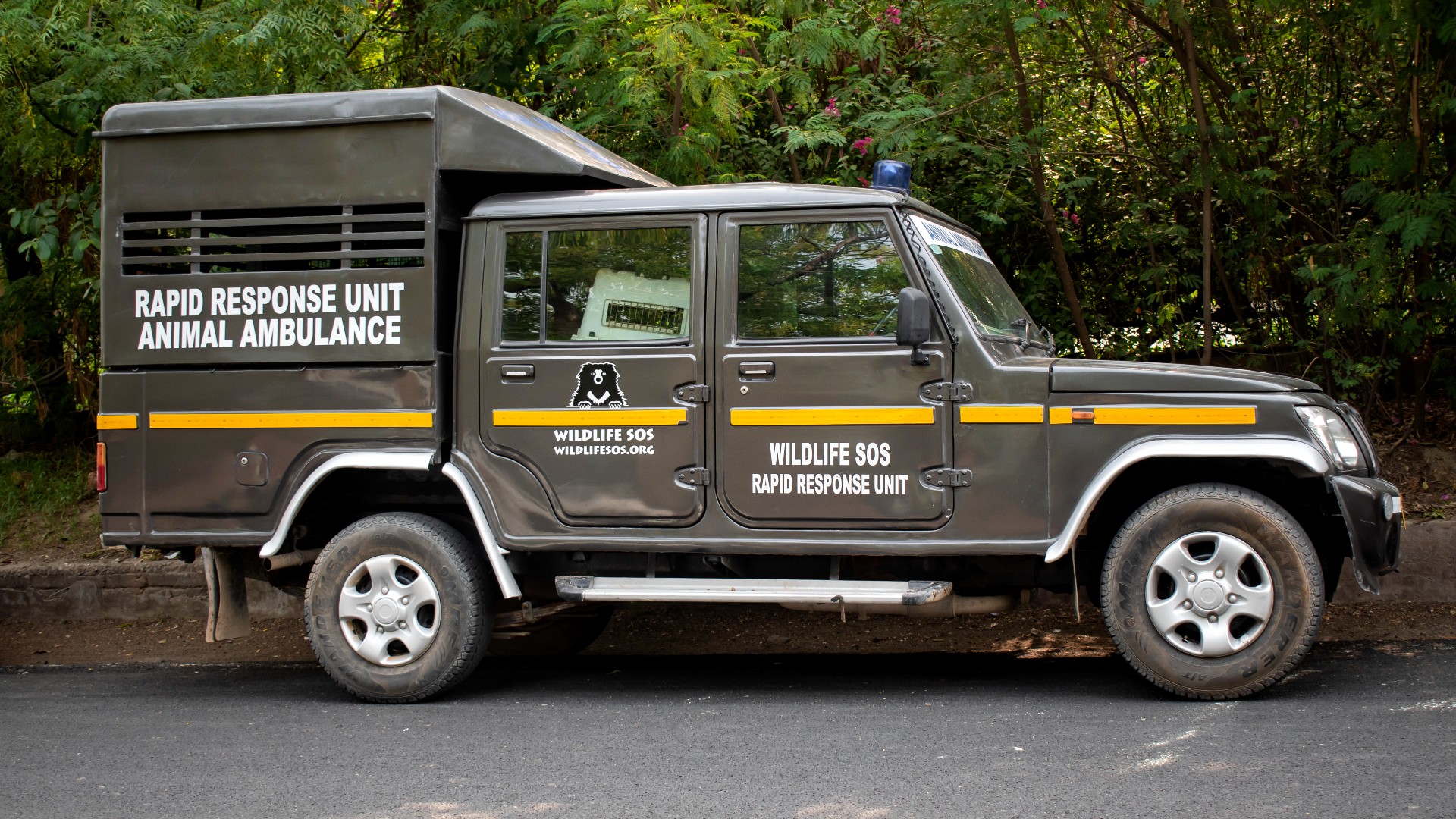 Ready, Steady and On The Go: The Rapid Response Unit - Wildlife SOS