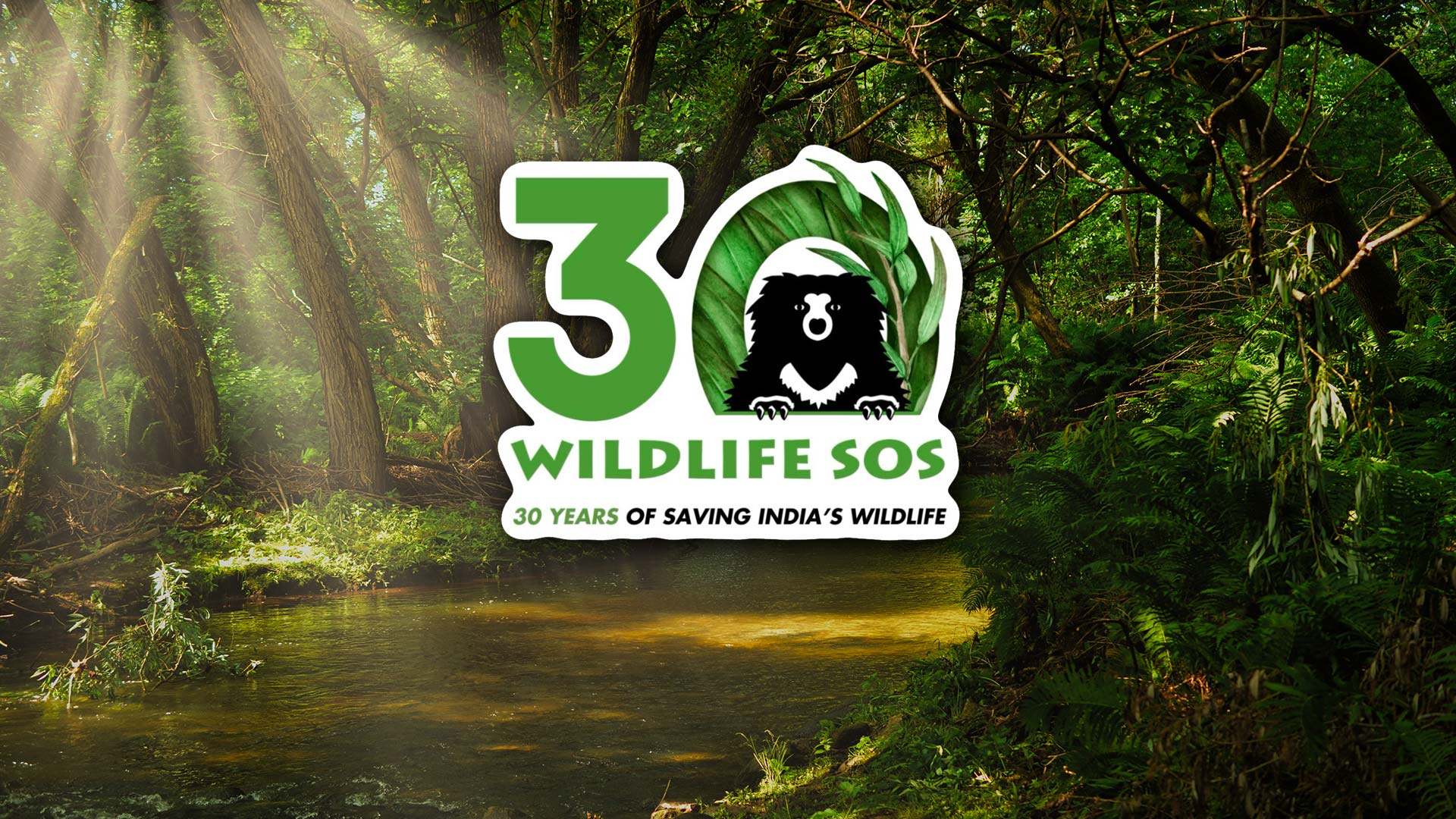 Wildlife SOS Celebrates 30 Years Of Saving India's Wildlife! - Wildlife SOS