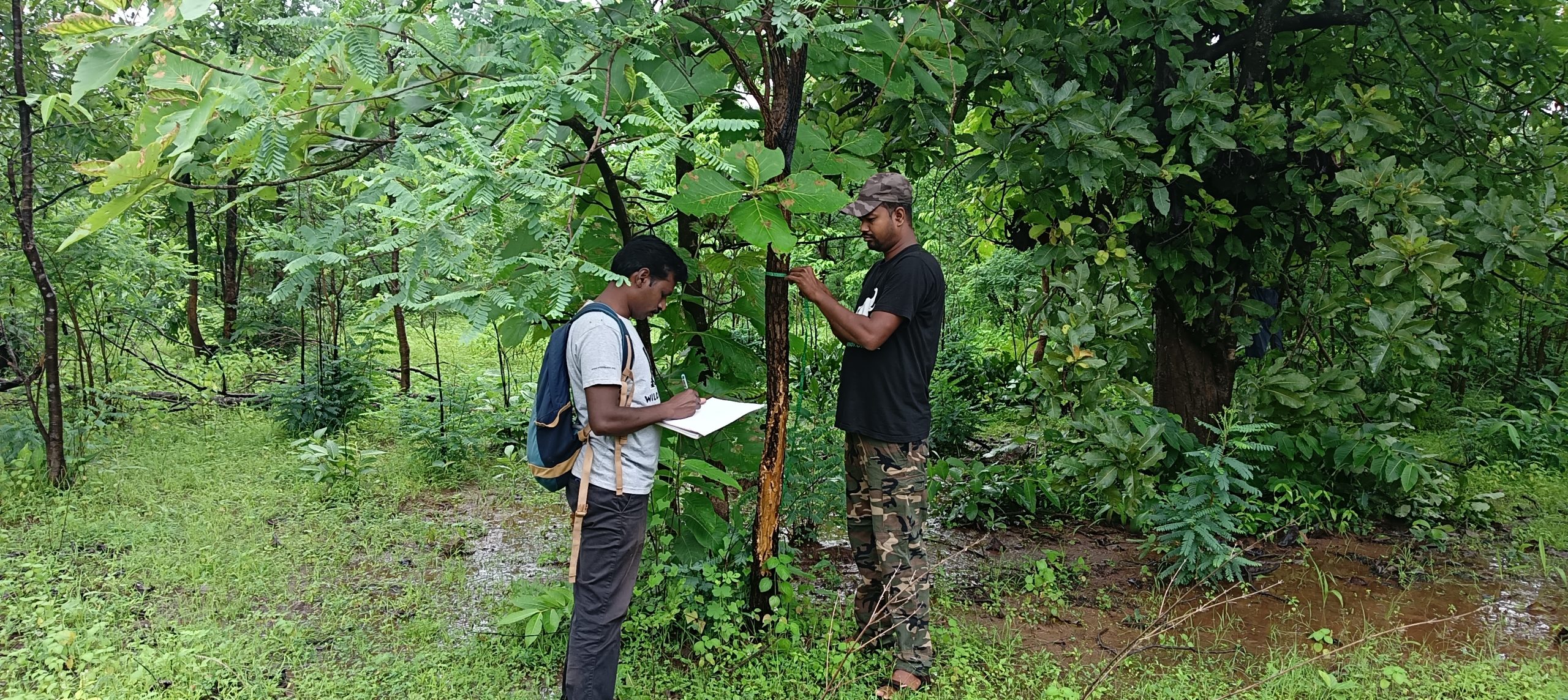 A Conservationist’s Guide To Wildlife Tracking - Wildlife SOS