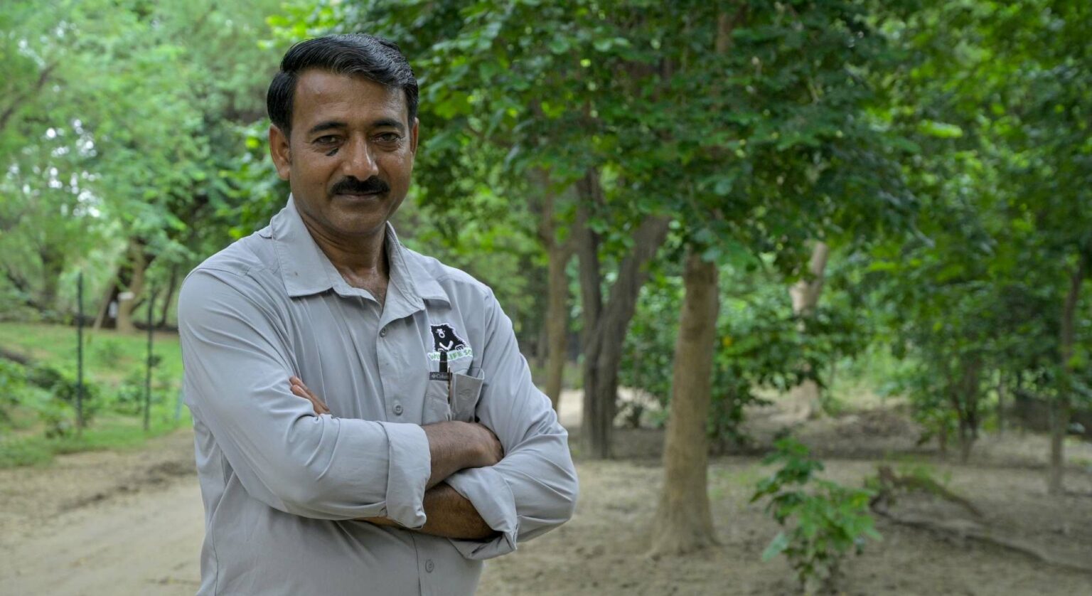 Meet The Monitor Lizards Of India - Wildlife SOS