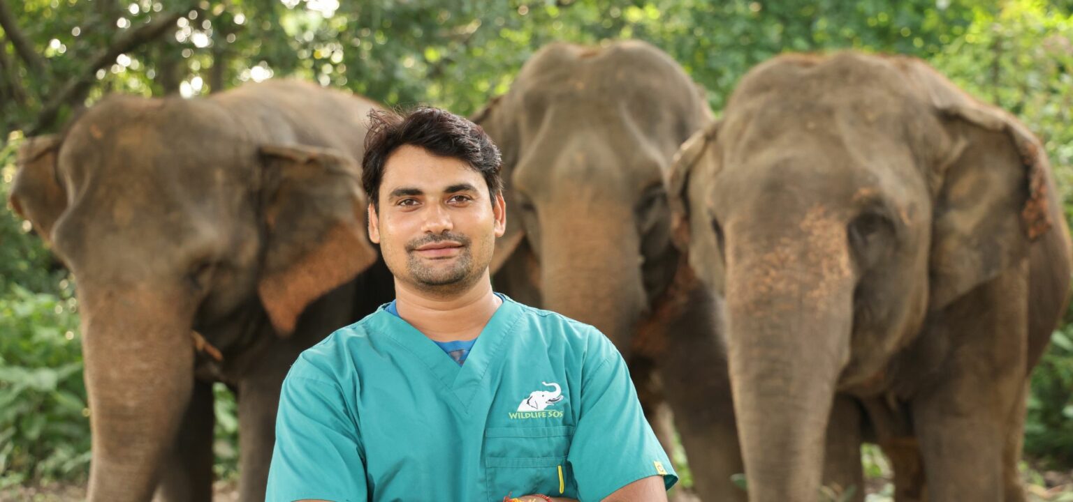 The Science Of Animal Communication - Wildlife SOS